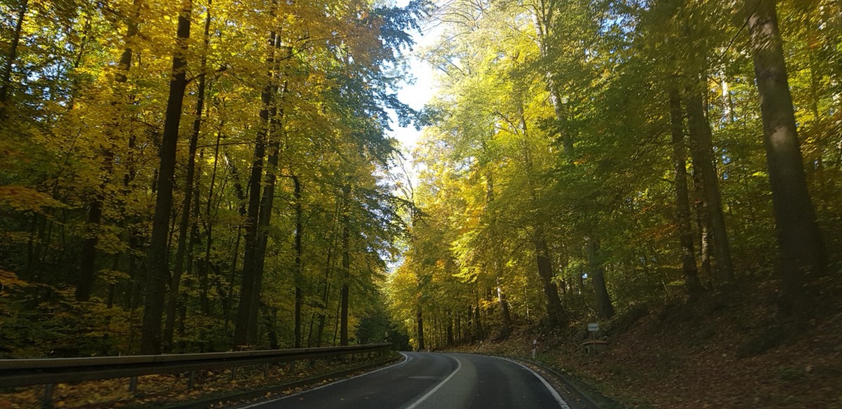 How does sparse convolution work?