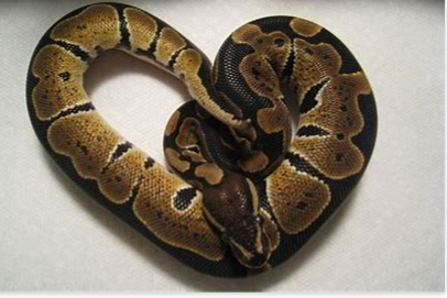 How to De-Normalize and De-Standardize data in Python