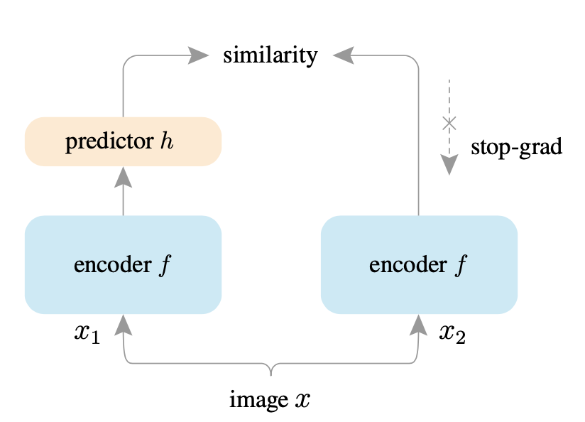 “SimSiam” Paper Explained “SimSiam” Paper Explained