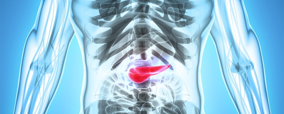 Artificial intelligence allows quick and easy diagnosis of pancreatic ...